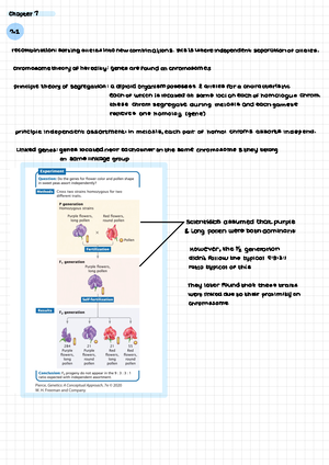 Lecture One Review Questions - Lecture One Review Questions Explain the early concepts of ...