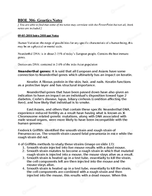 DNA Mutation Simulation Worksheet - DNA Mutation Simulation Access the ...