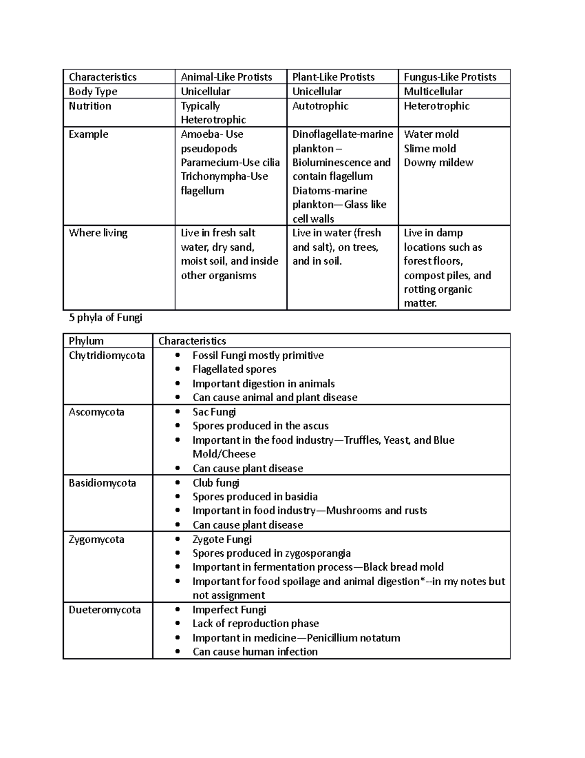 Protist and Fungi - bio - Characteristics Animal-Like Protists Plant ...