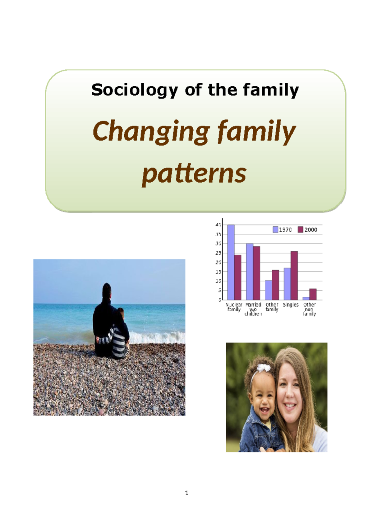 Family- Changing patterns - Sociology of the family Changing family ...