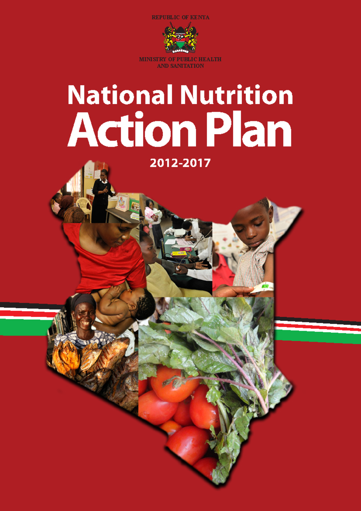 Kenya National Nutrition Action Plan 2012 2017 final - Nutrition ...