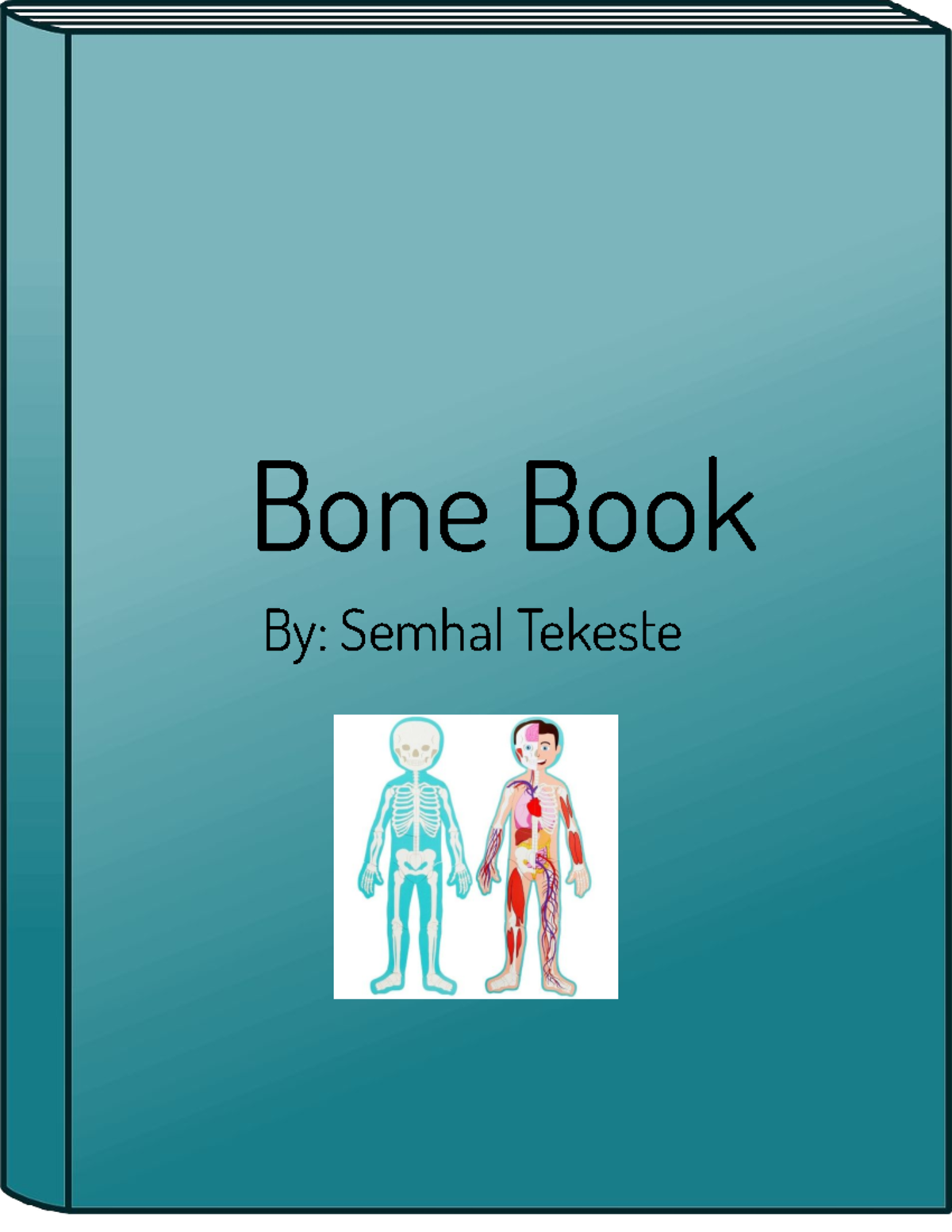 Bone Book-anatomy & physiology - Bone Book By: Semhal Tekeste Functions ...