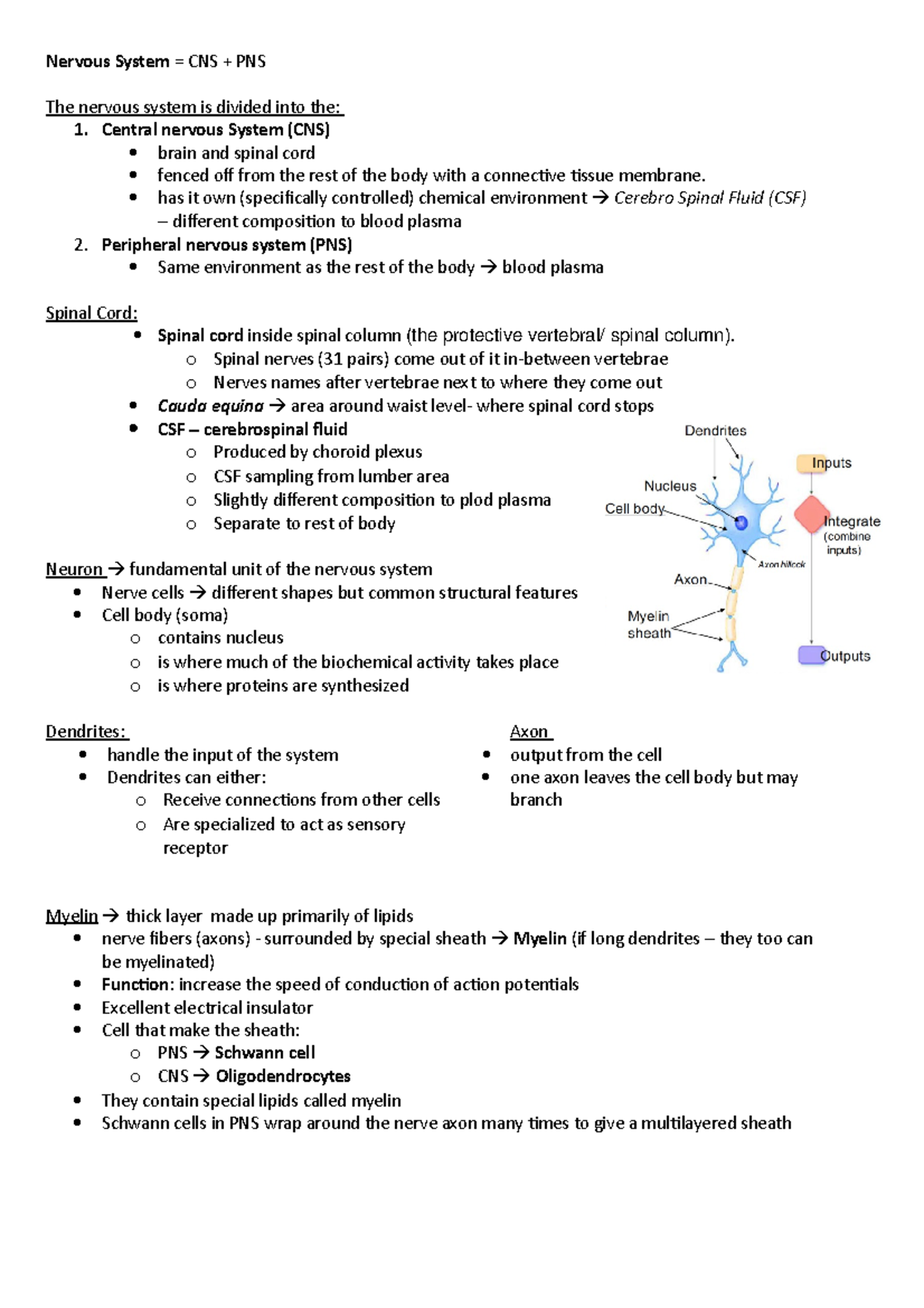The Nervous System - Nervous System = CNS + PNS The nervous system is ...