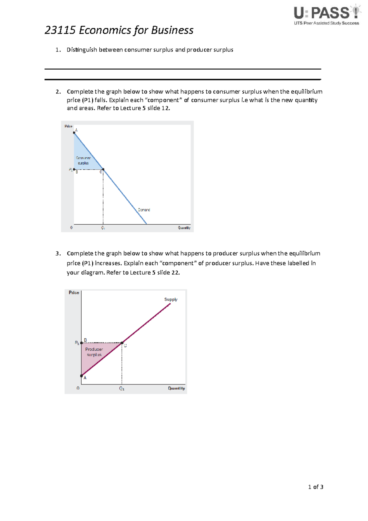 prac questions Lecture 3 - Distinguish between consumer surplus and ...