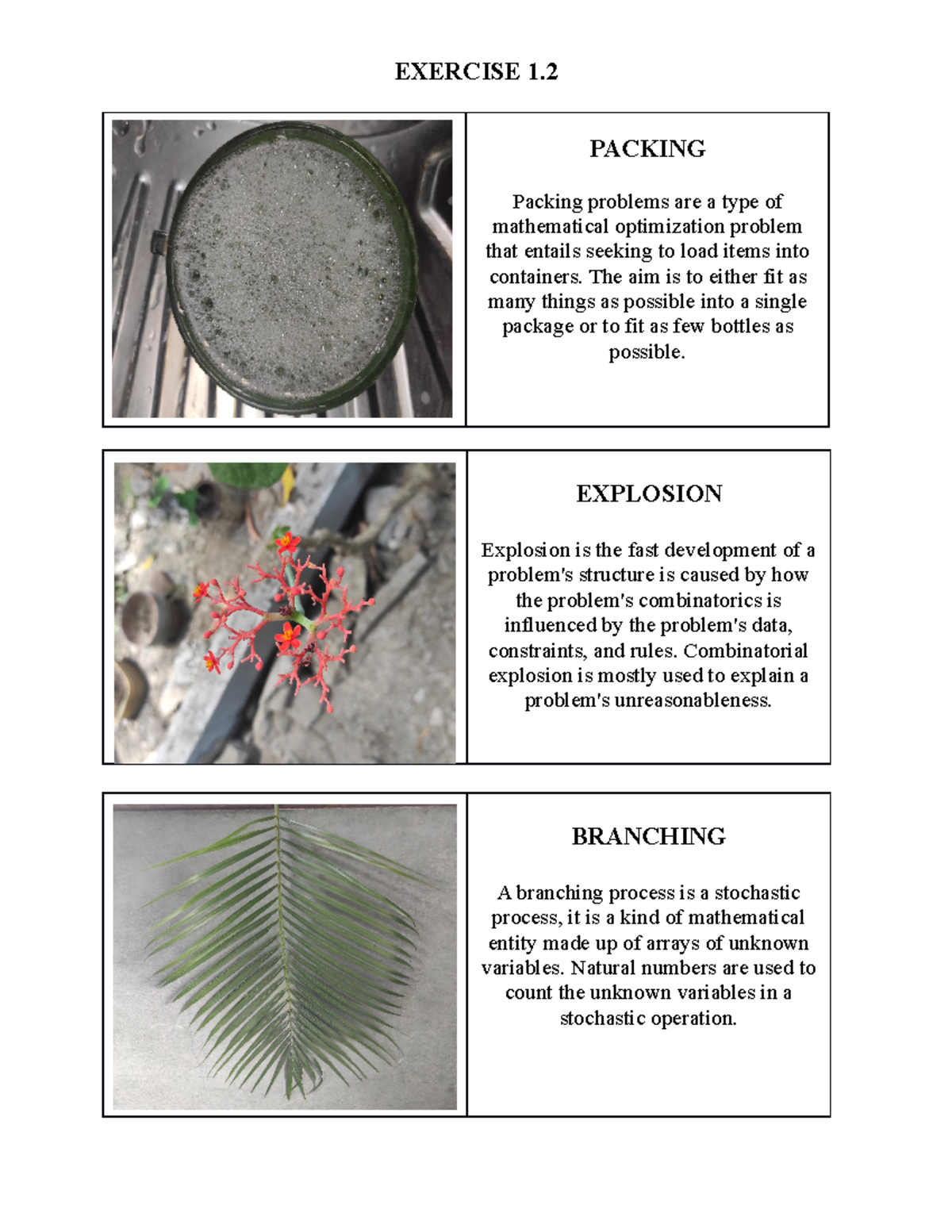 Pastor, RHEA Pearl Exercise 1 - EXERCISE 1. PACKING Packing problems ...