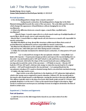 Lab 6 - anatomy 1 and 2 lab stuff - Student Name: Gloria Arajulu Access ...