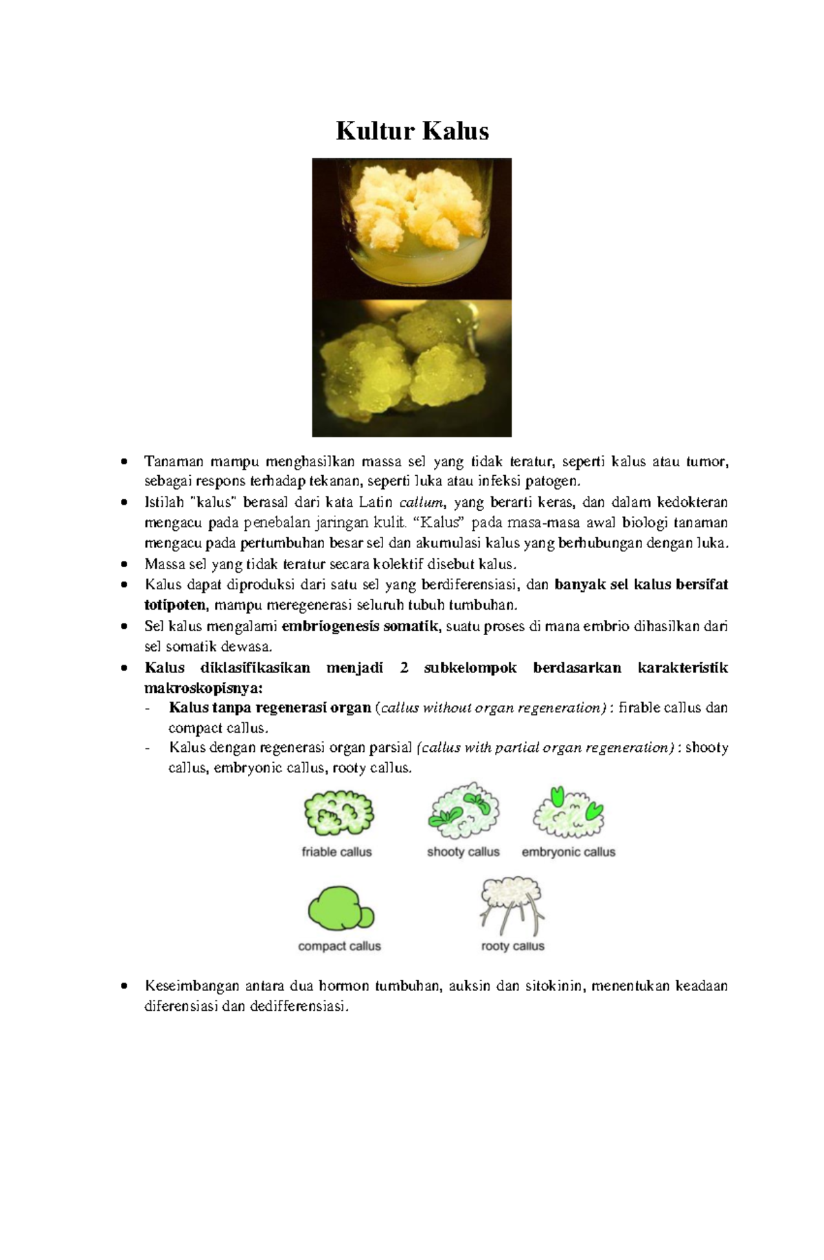 Kultur Kalus - Deskripsi, Sifat, Klasifikasi - Kultur Kalus Tanaman ...