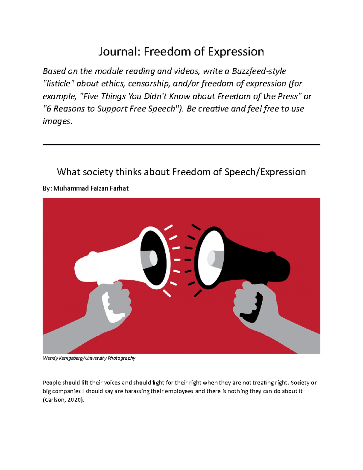 Journal Freedom of speech - Journal: Freedom of Expression Based on the ...