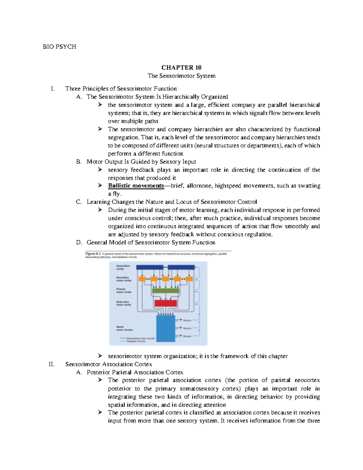 CH - ,,,,, - BIO PSYCH CHAPTER 10 The Sensorimotor System I. Three ...