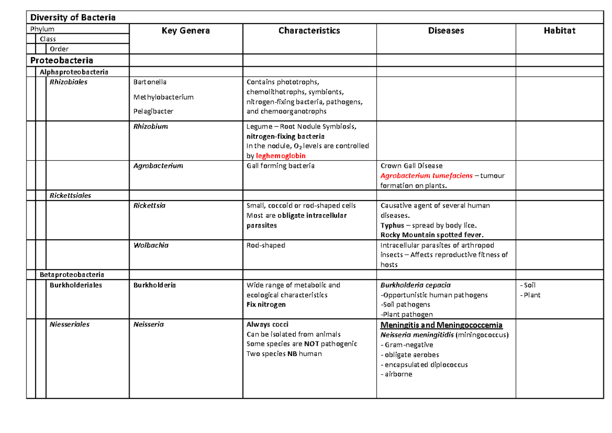 Diversity of Bacteria final - Diversity of Bacteria Phylum Key Genera ...