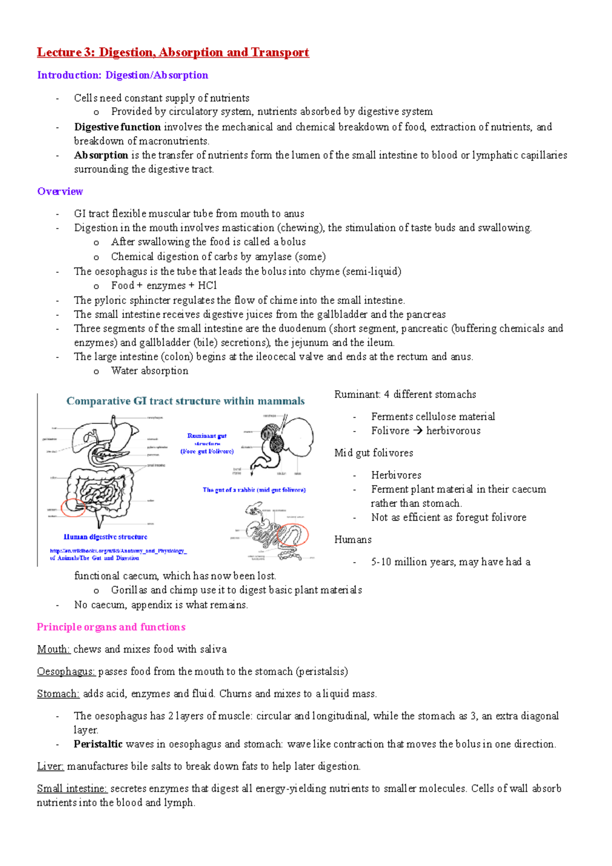 Lecture notes, lecture 3 - Digestion and absorption - Lecture 3 ...
