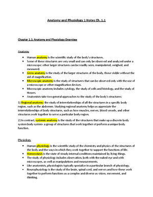 Exam Review Worksheet - Muscular Syst (Ch 10) KEY - BIOL 2210 Chapter ...