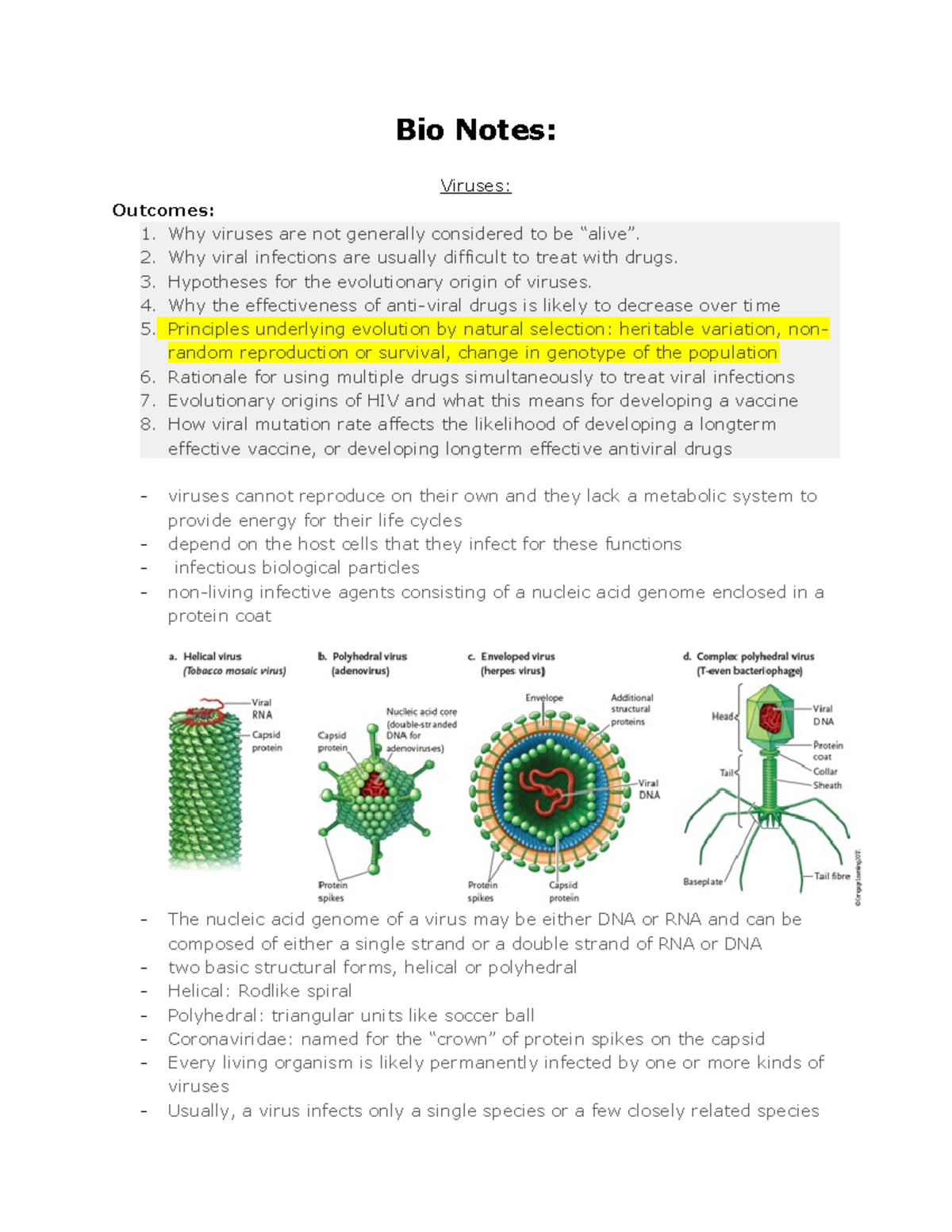 Copy of Bio Notes: - Summary Biology for Science I - Bio Notes: Viruses ...