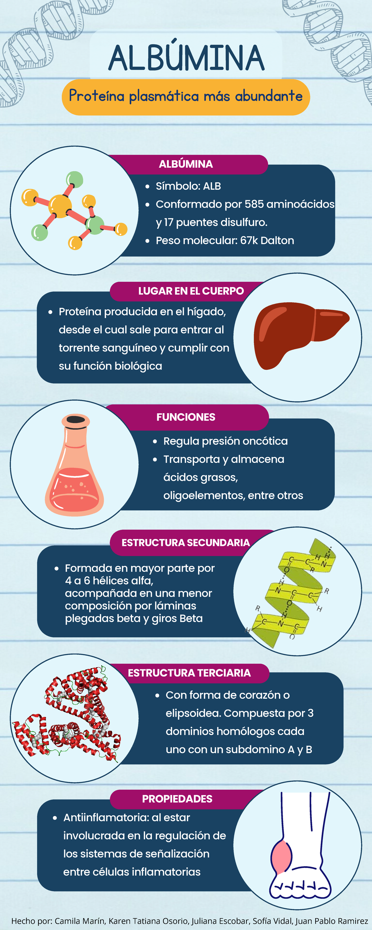 Albúmina - Infografía albúmina los links están en otro documento ...