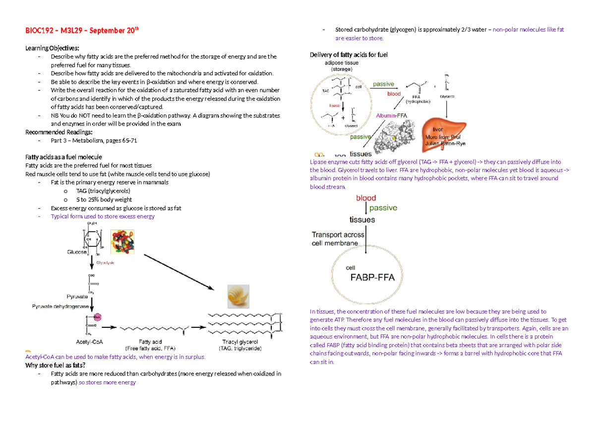 BIOC192 S2 20230920 Dnila 1 224363 - BIOC192 – M3L29 – September 20th Learning Objectives ...