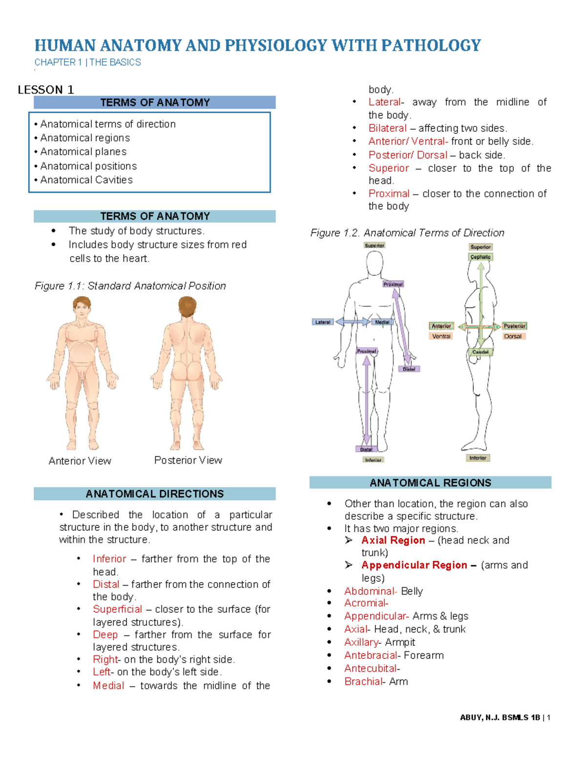 HAPP-C1 - Introduction to ANAPHY. The Basics - HUMAN ANATOMY AND ...