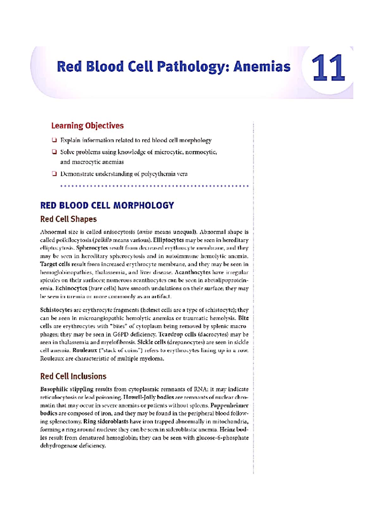 Red.blood - Red blood cell pathology - Bsc nursing - Studocu