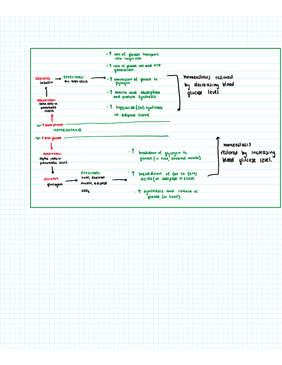 Homeostasis - Biology for Biomedical Science: Cellular Processes and ...