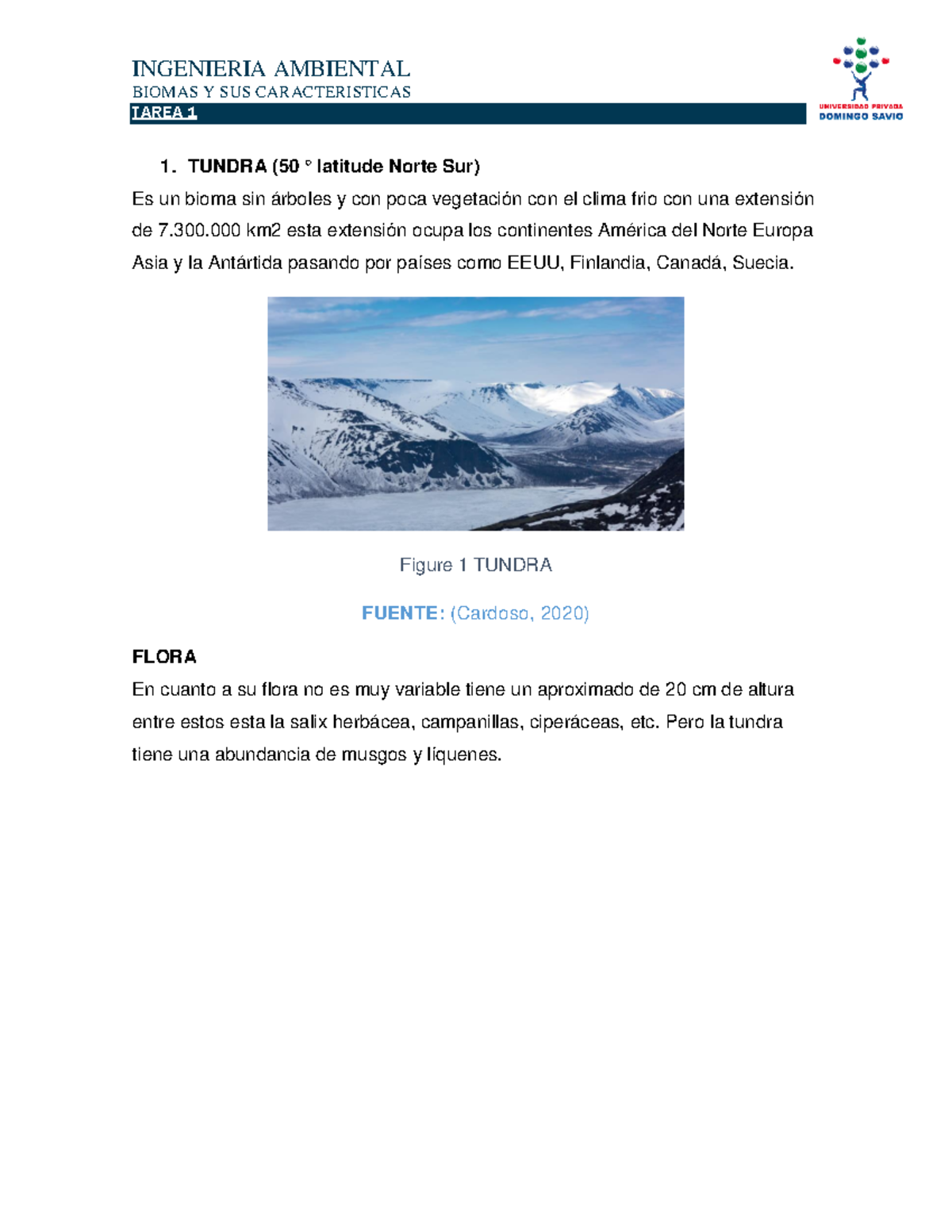 Biomas Imanol Flores Choque - BIOMAS Y SUS CARACTERISTICAS TAREA 1 ...