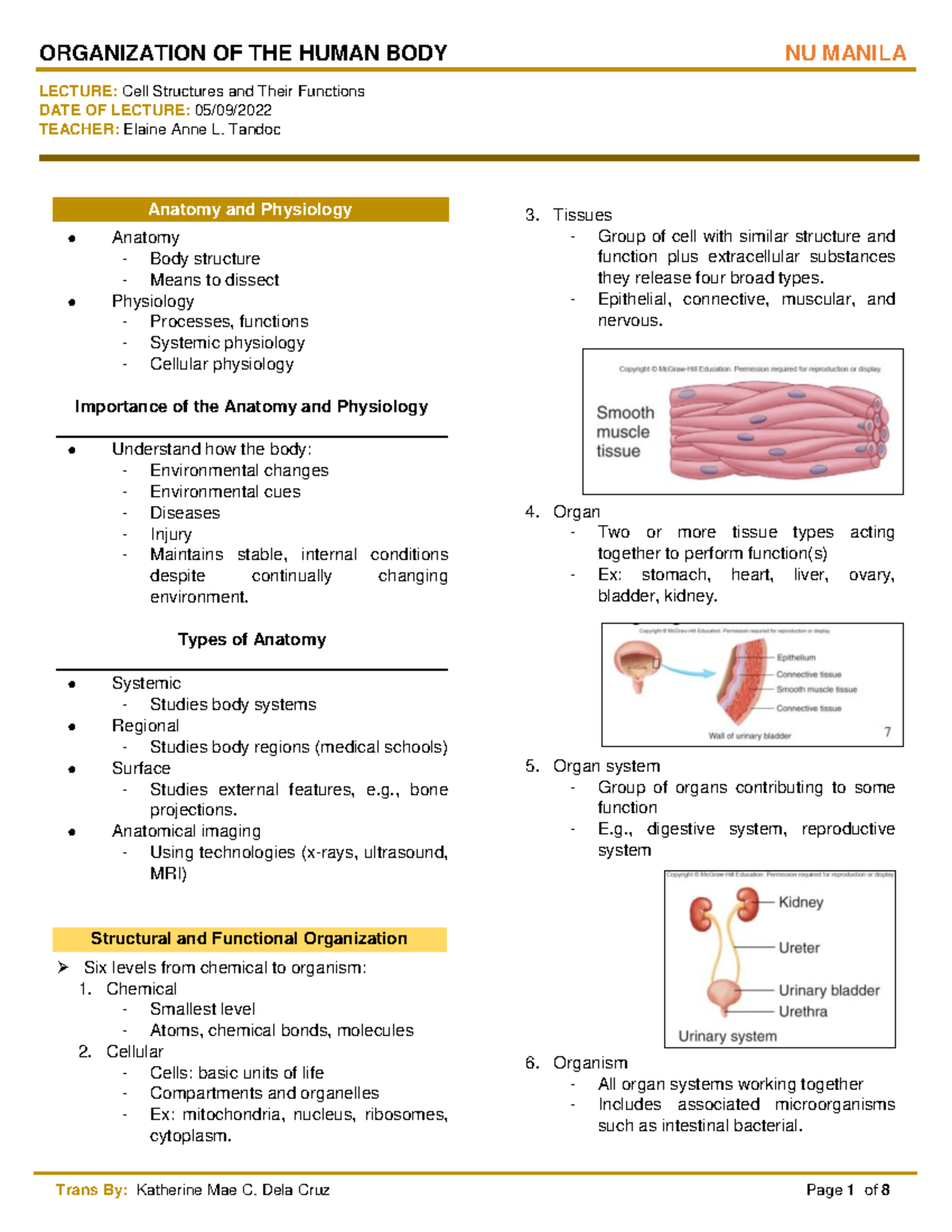 Anatomy and Physiology - LECTURE: Cell Structures and Their Functions ...