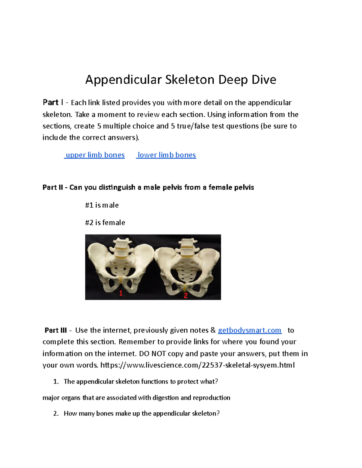 Appendicular Skeleton Deep Dive Student - Appendicular Skeleton Deep ...