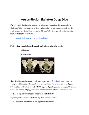 Axial Skeleton Deep Dive Student - Axial Skeleton Webquest Part 1 ...