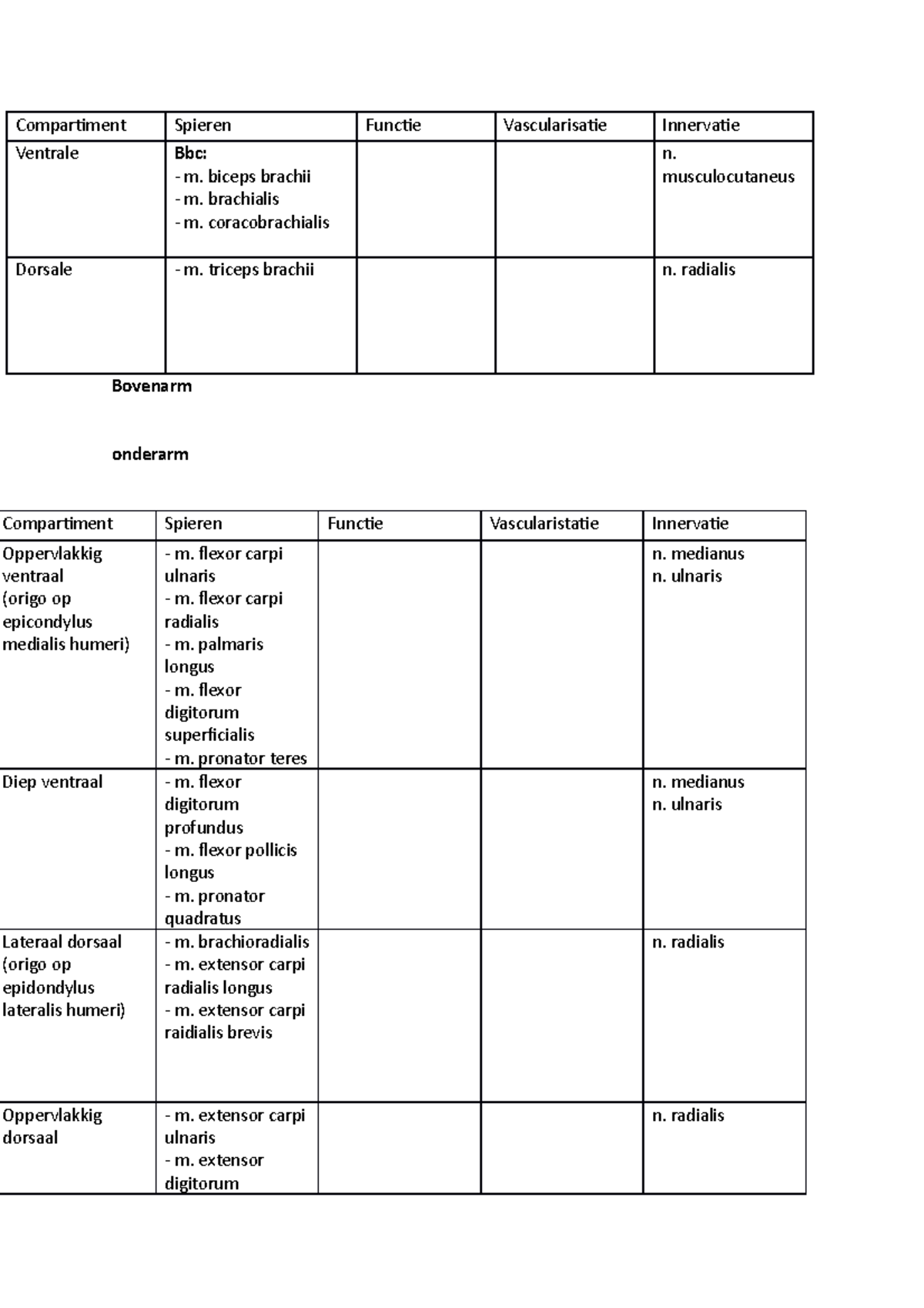 Zhb 2 compartimenten - Compartiment Spieren Functie Vascularisatie ...