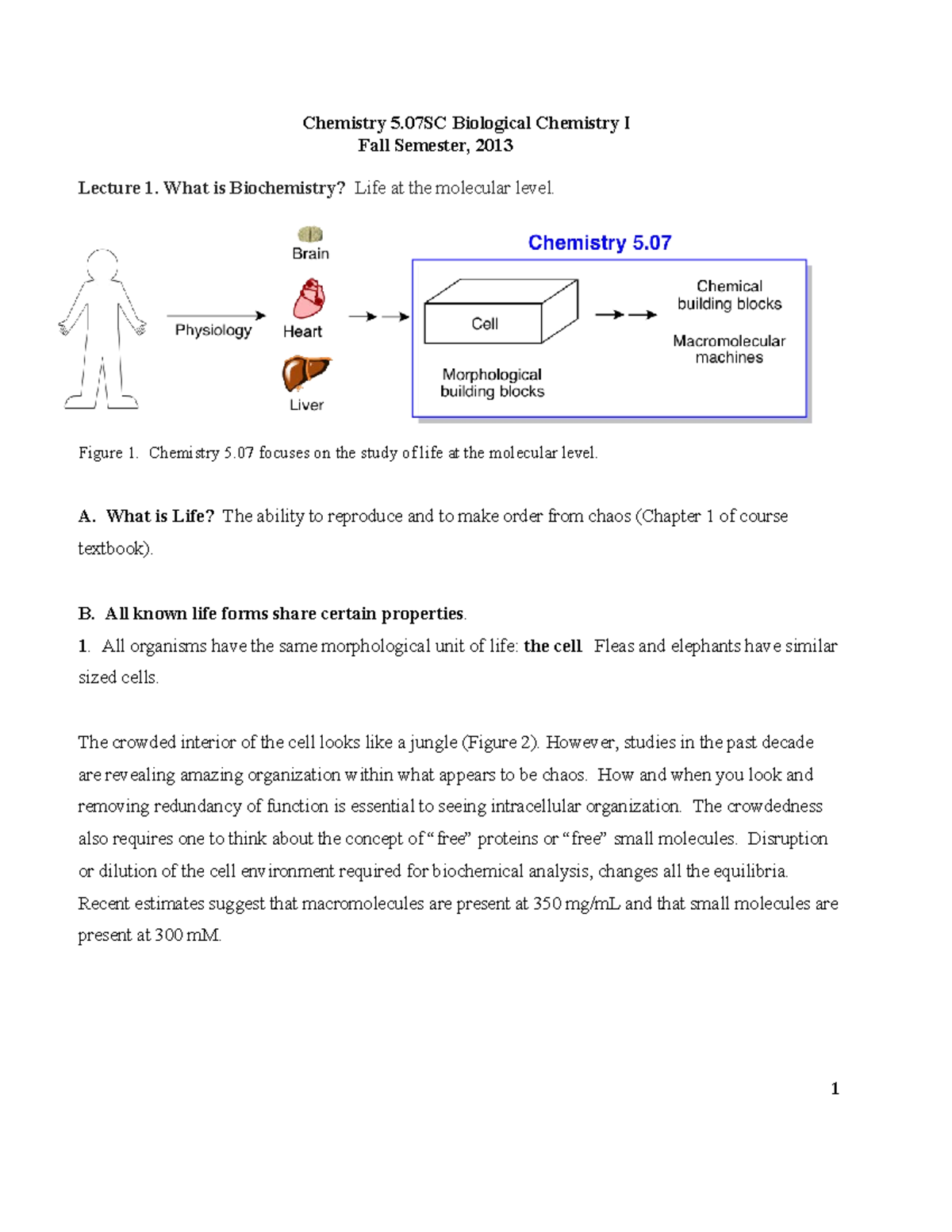 Introduction to Biochemistry first year. An introduct - Chemistry 5 ...
