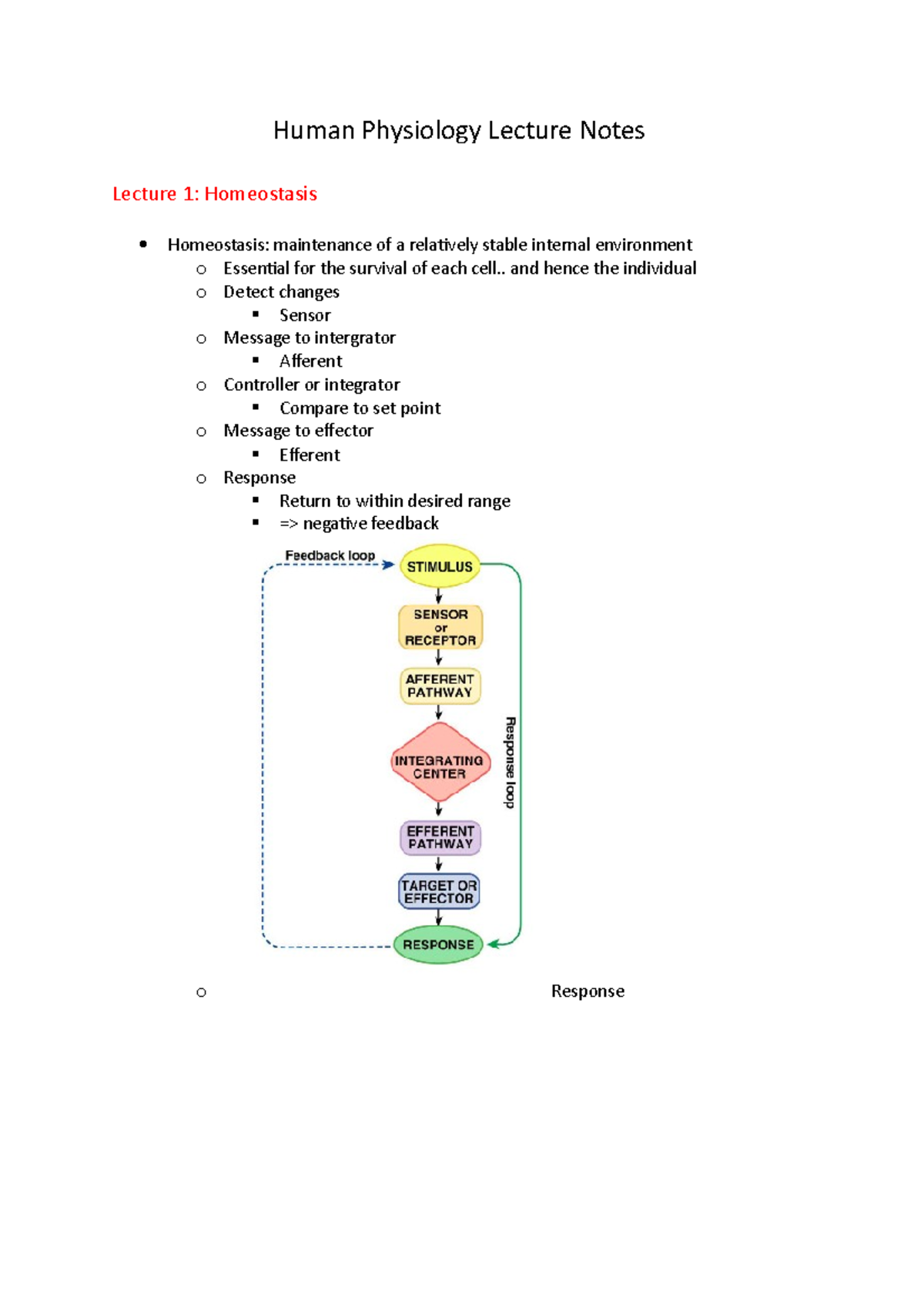 Human Physiology Lecture Notes - Human Physiology Lecture Notes Lecture ...