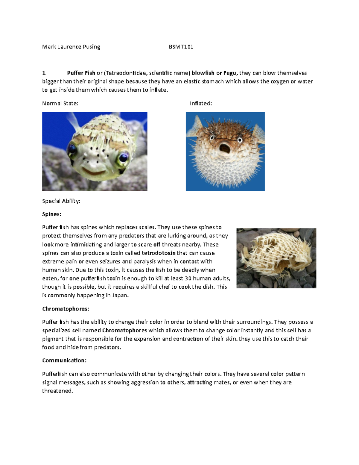 Science essential activity 3 - Mark Laurence Pusing BSMT1 01 Puffer ...