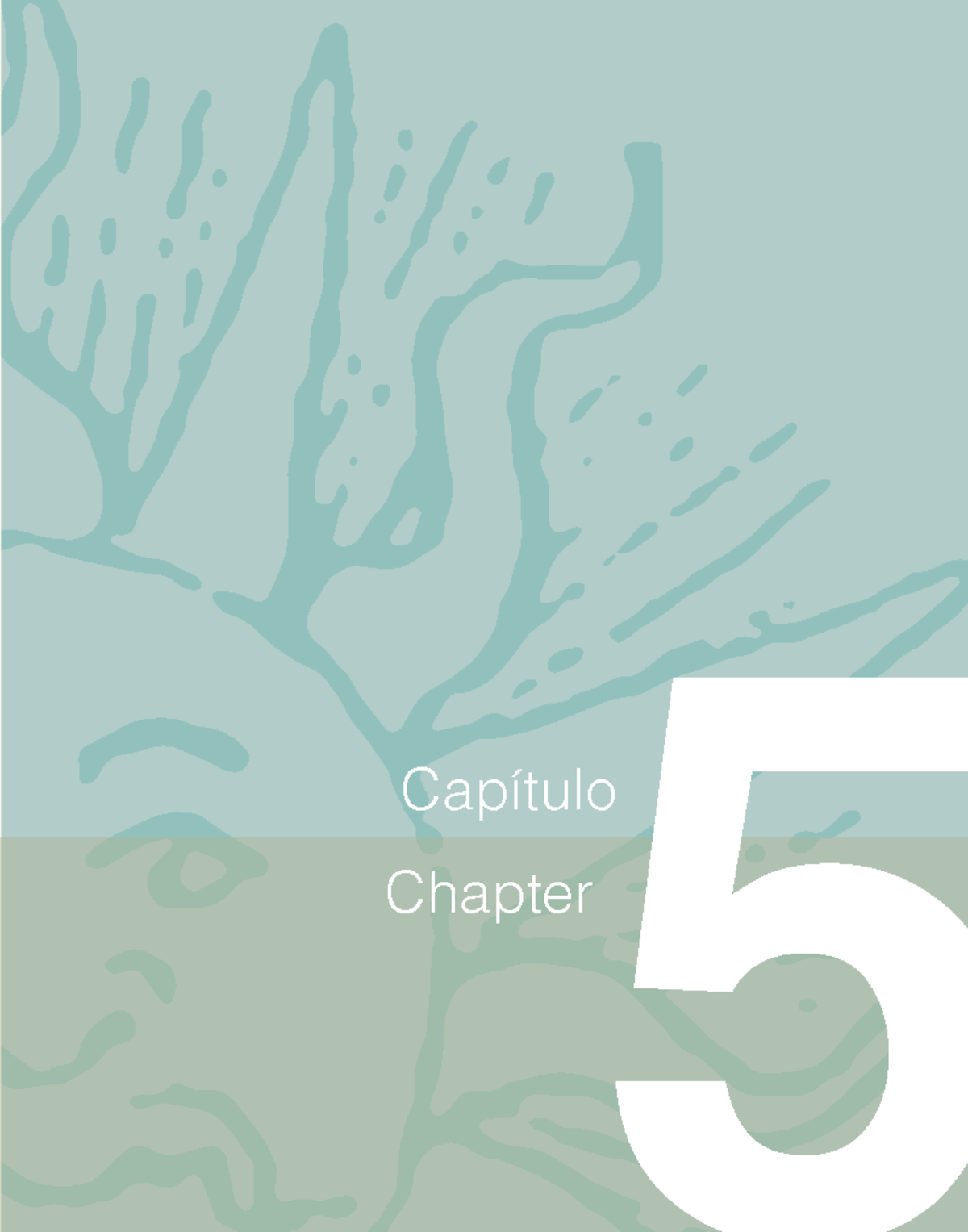 Cap 5 - Cap 5 - Capítulo Chapter 5 324 Las panacas y los aillus ...