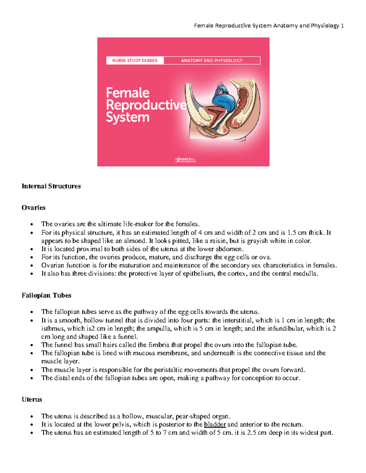 Nurseslabs~Female Reproductive System Anatomy and Physiology - Female ...