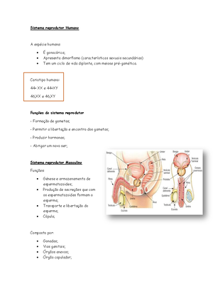 2o teste 12o aluno - kkkmkm - Ficha de avaliação Biologia 12 º Ano ...