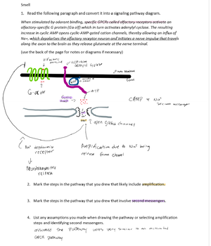CB2024 Exam 2 Back-Test Questions Blank - Important notes: These ...