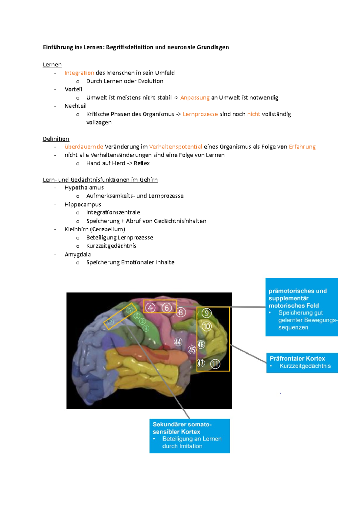 Zusammenfassung Allgemeine - Einführung ins Lernen: Begriffsdefinition und neuronale Grundlagen ...