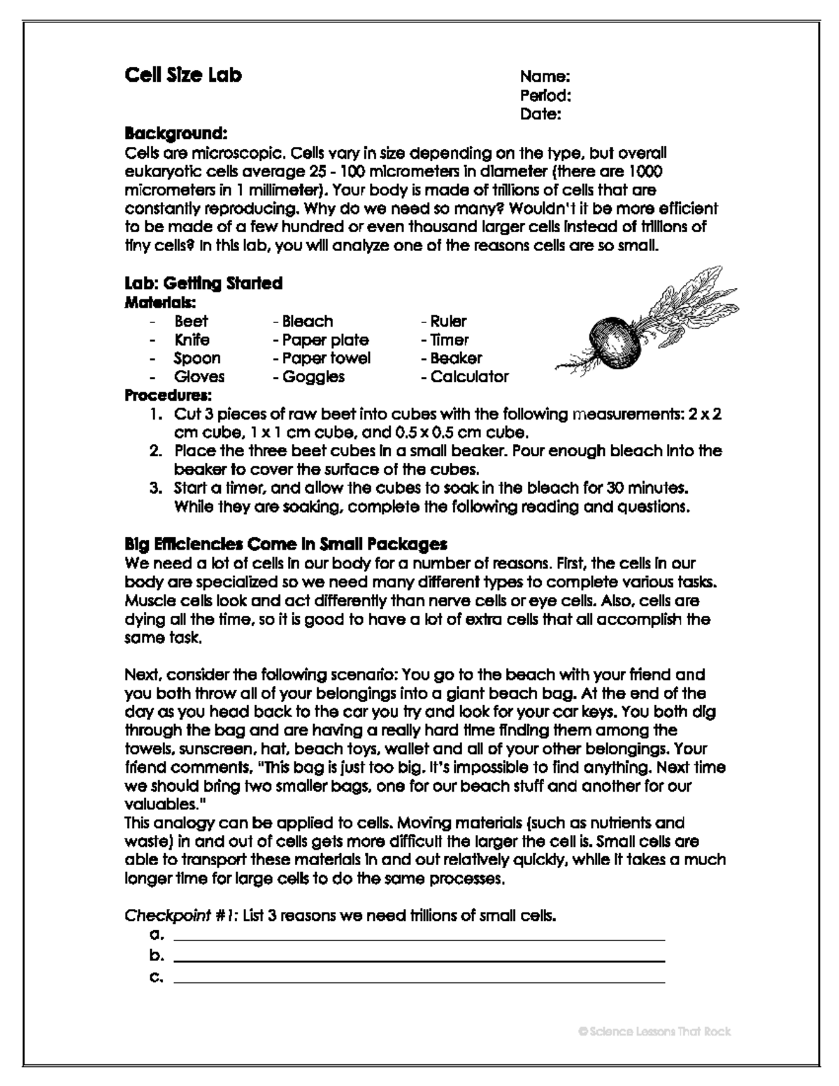 Bryce Mc Kinnies - Cell Diffusion Beets - Studocu