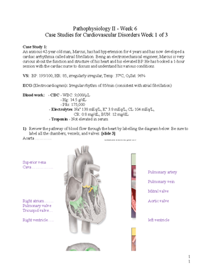 Patho II Week 12 Case Studies 1 - Pathophysiology II Case Studies Week ...