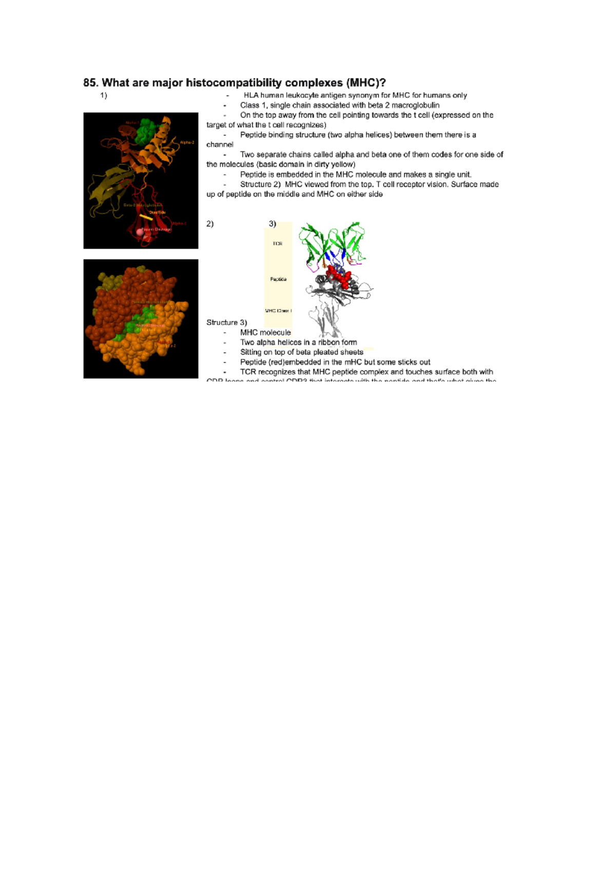 MHC description and diagram explaining what it consists of. - IMMN2001 ...
