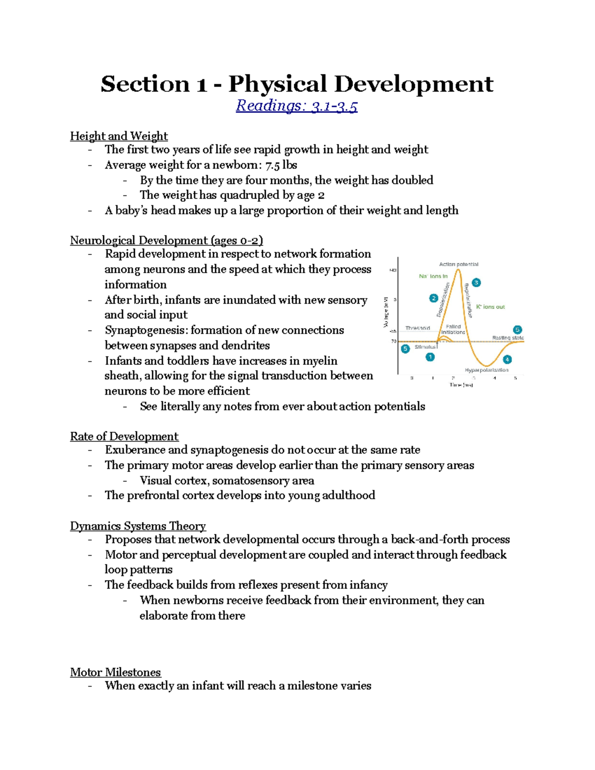 Lesson 3 - Infancy and Toddlerhood - Section 1 - Physical Development ...