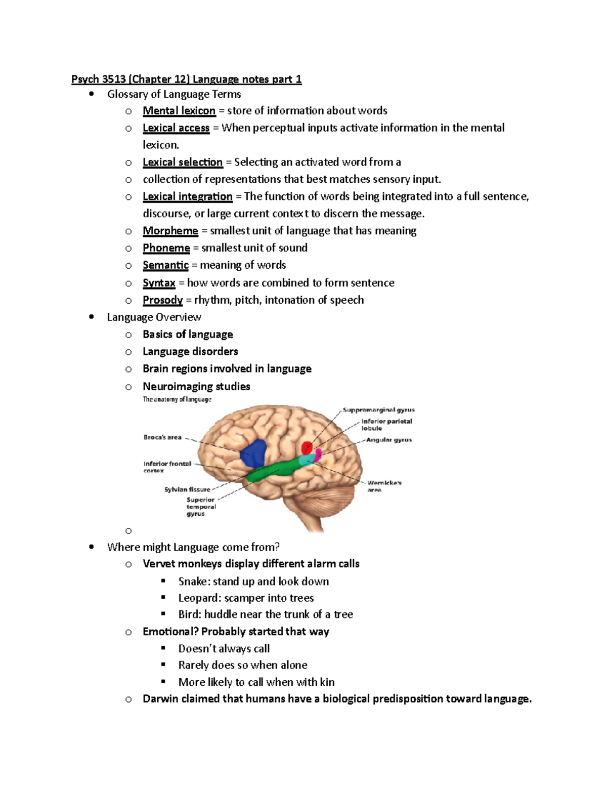 Psych 3513 (Chapter 12) Language notes part 1 - Psych 3513 (Chapter 12 ...