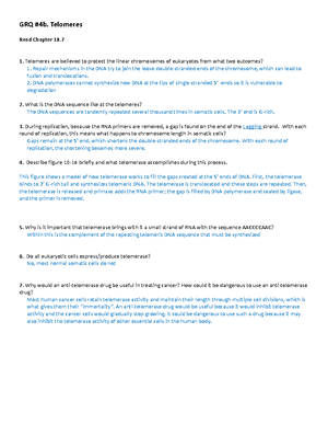 BIO220 Exam 2 Cheat Sheet -Transcription: DNA to RNA Translation: RNA ...