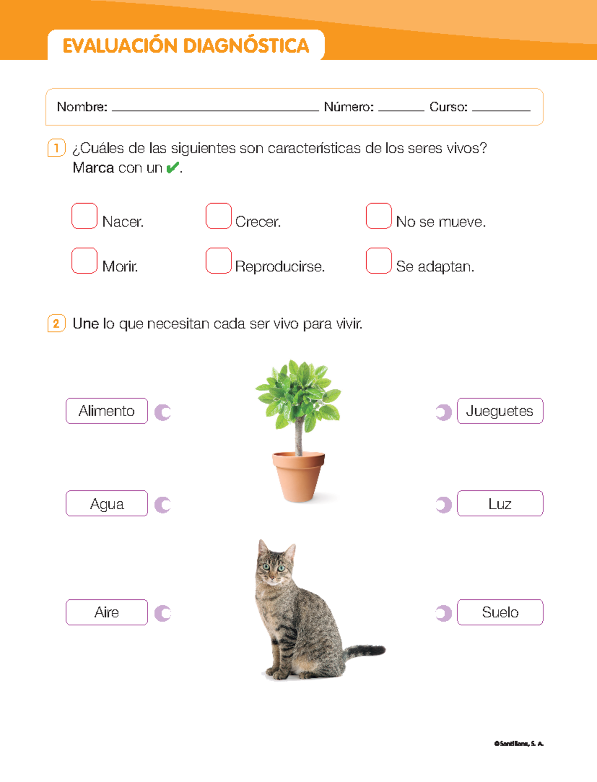 E D-7 - Actualizacion de los paradigmas matemáticos - Nombre: Número ...