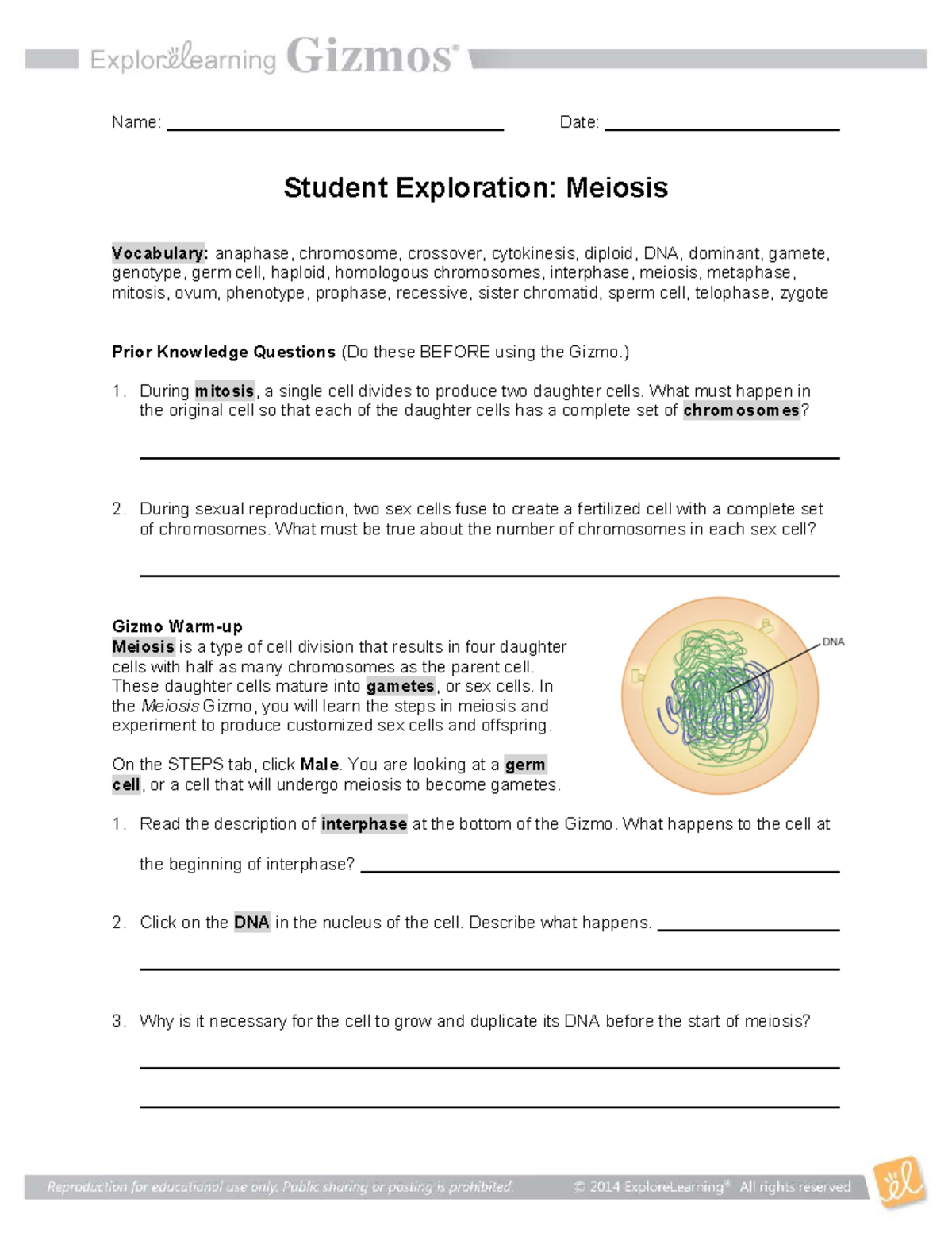 Shorter Meiosis Gizmo 2023 - Name: Date: Student Exploration: Meiosis ...