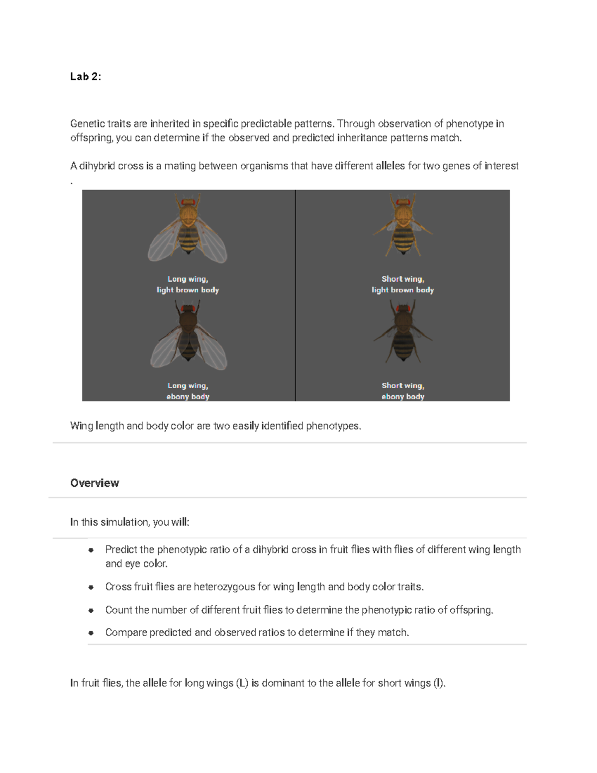 Genetics Lab 2 - practice - Lab 2: Genetic traits are inherited in ...