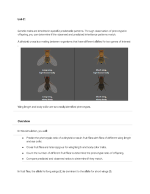 Genetics Lab 3 - practice - Key Concepts Many human traits are inherited in specific ...
