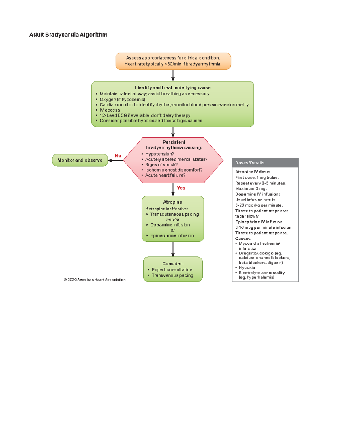 Adult Bradycardia Algorithm for Life Support - Yes No Doses/Details Atropine IV dose: First dose ...