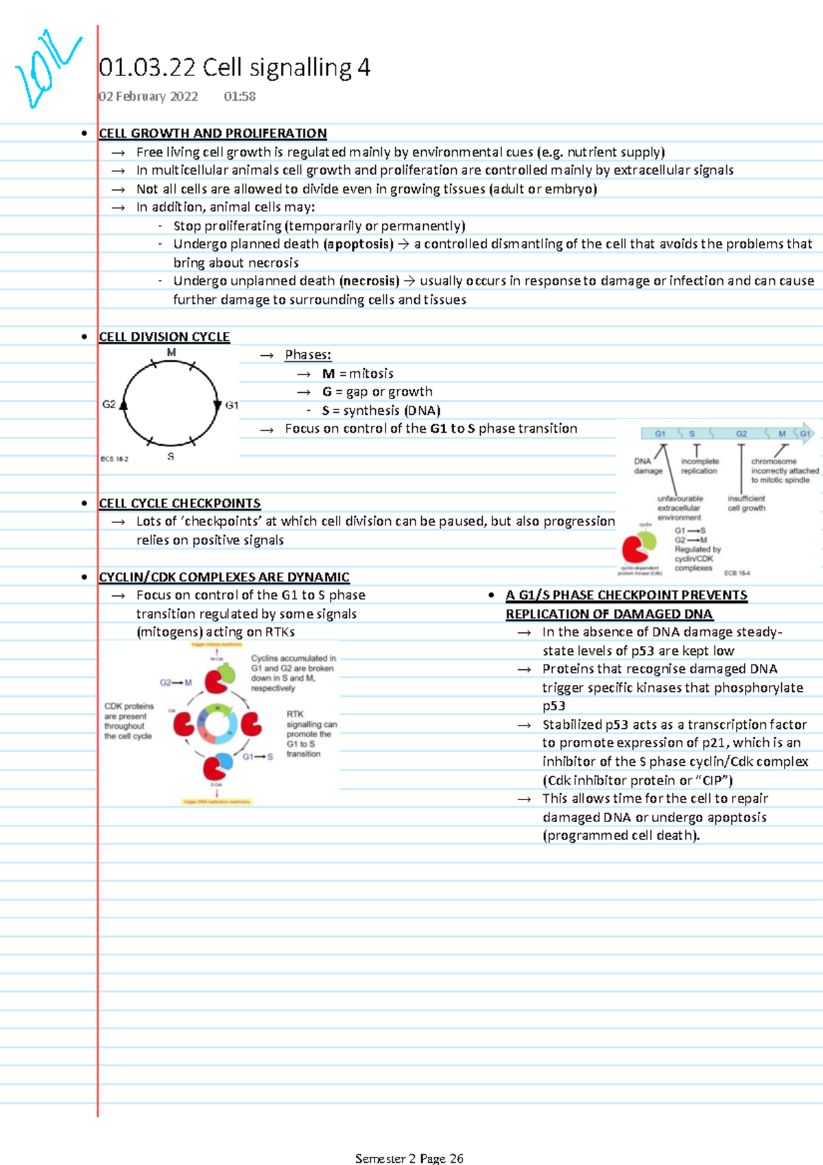 Lecture 7 - Cell Signalling - CELL GROWTH AND PROLIFERATION → Free ...