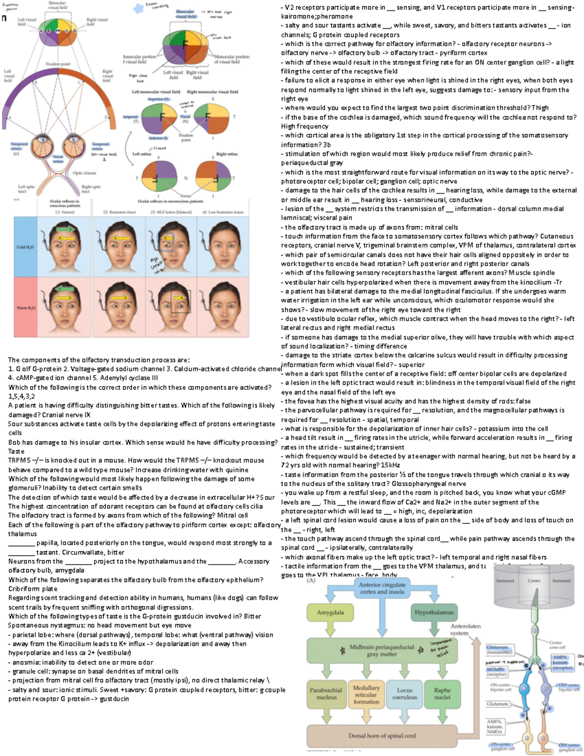 Exam 1f - Summary Integrative Neuroscience - The components of the ...