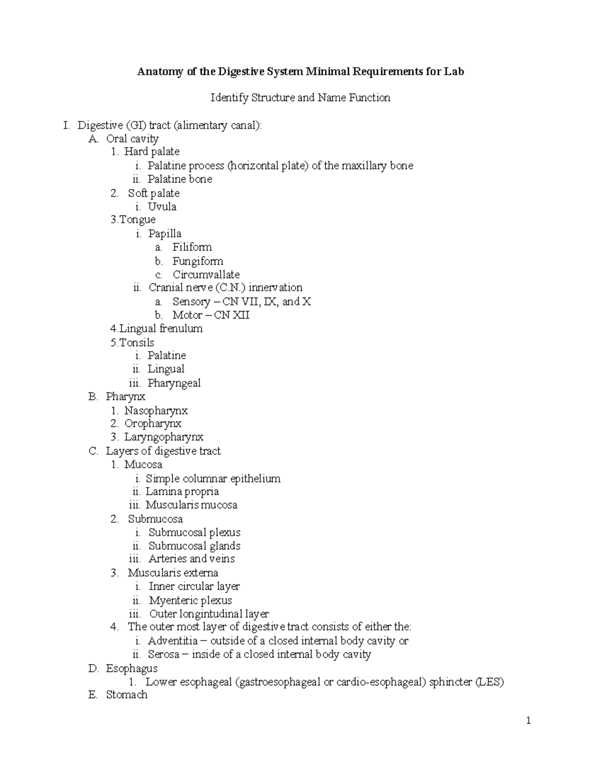 Digestive system - Guide of must know structures - Anatomy of the ...