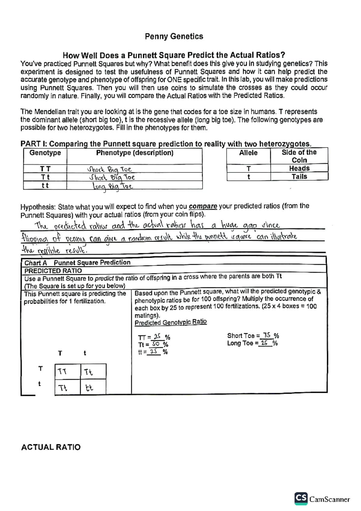 Lab2 Penny Genetics - Biochemistry - Bachelor of Science in Psychology ...